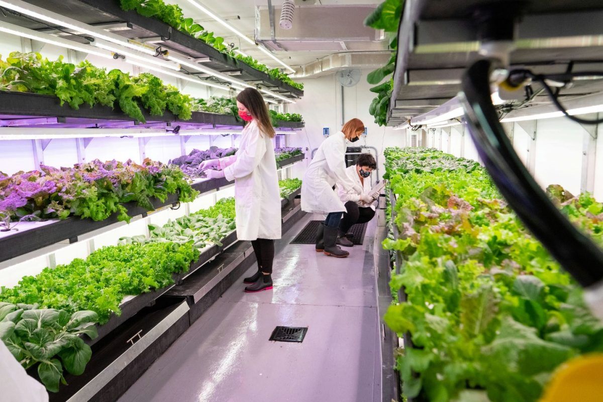 EMC Food Security Project - Edmonton Multicultural Coalition